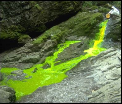 Norlab Powder Tracing Dye, 4-oz Container, Yellow/Green Color - 5Z00001 ...