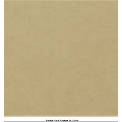 Proline Pro-Stain Concrete Stain Color Pigment, (Part 3) in Sand Canyon ...